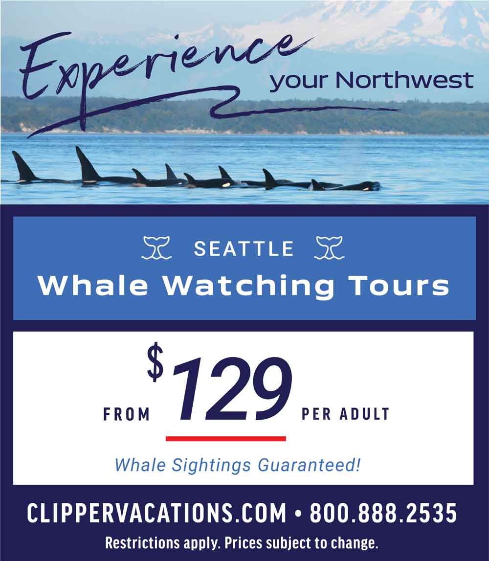 Where to Whale Watch across the globe. | WhaleWatching.com - A Guide to ...
